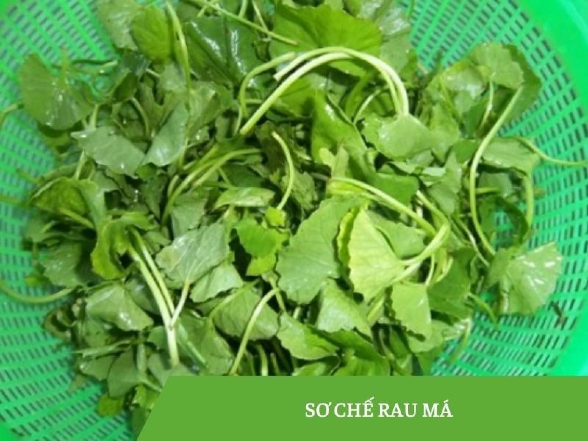 Cách làm sinh tố rau má thanh mát, giải nhiệt cơ thể